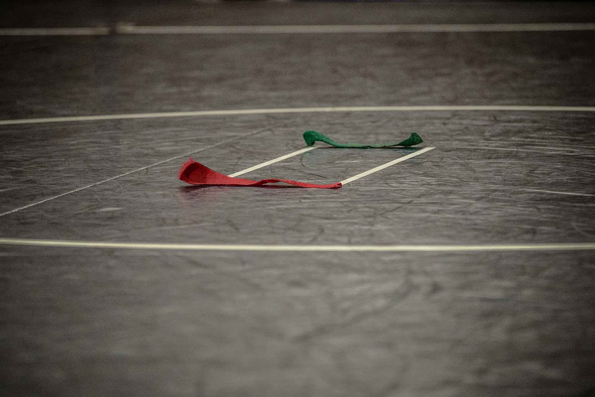 UDWA - About - Upper Darby Wrestling Association